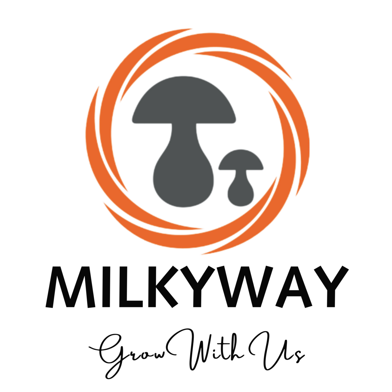 Home - Milkyway Mushroom